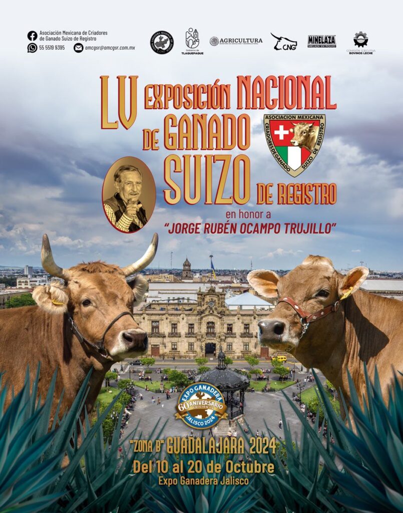 Orígenes del Ganado Suizo Europeo - Asociación Mexicana de Criadores de ...