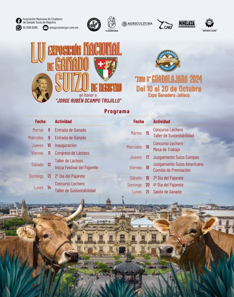 Orígenes del Ganado Suizo Europeo - Asociación Mexicana de Criadores de ...